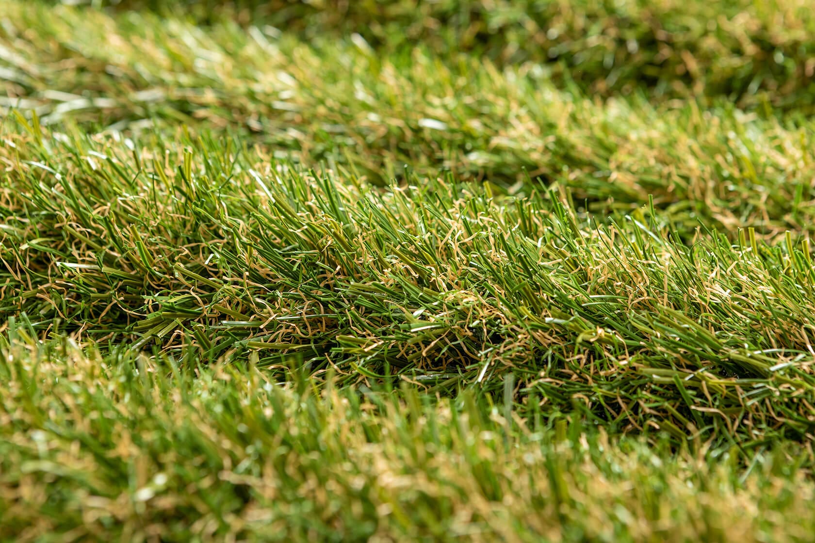 Artificial Turf Vs Natural Grass | TigerTurf