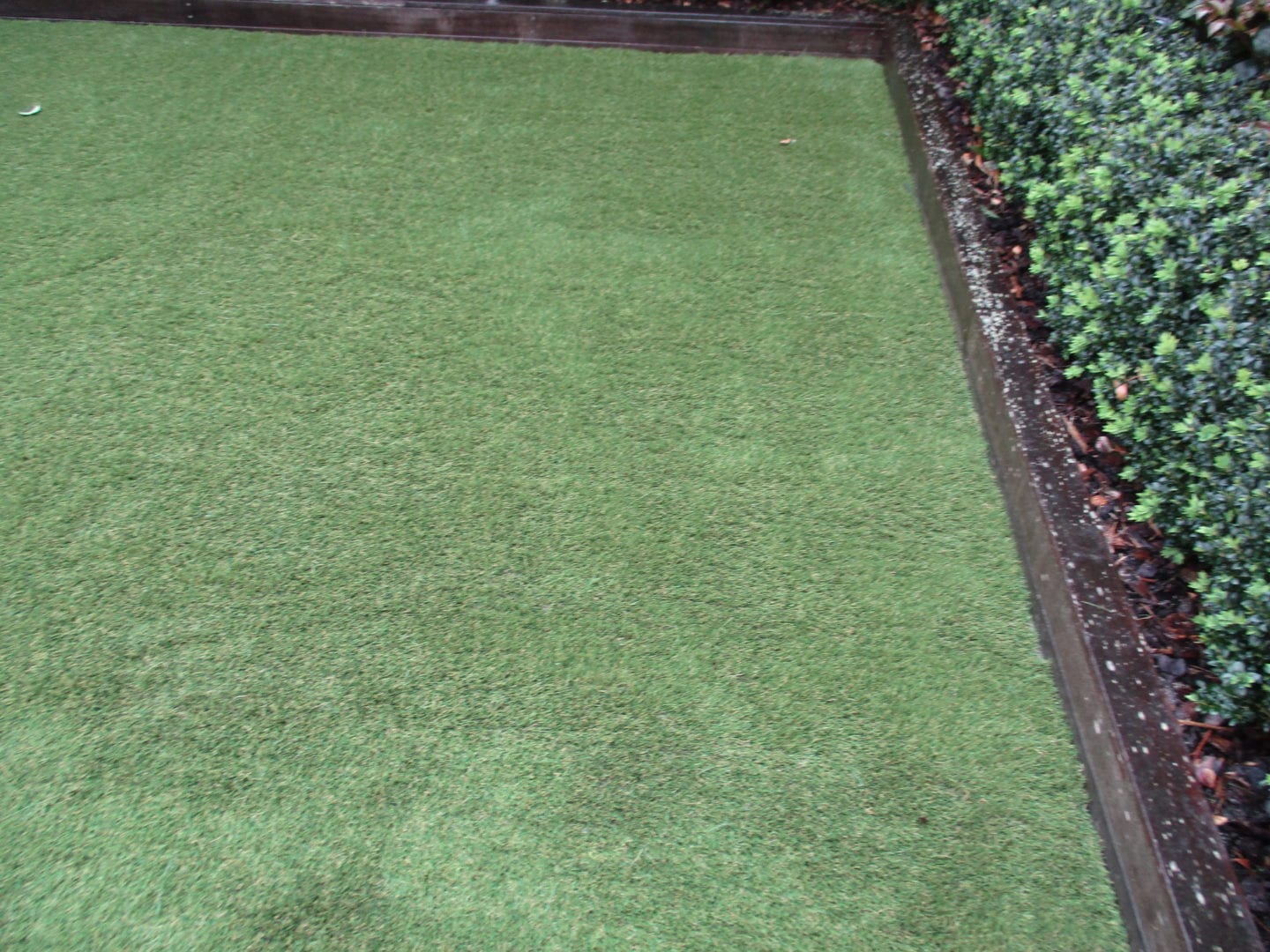 Serenity 40 | TigerTurf