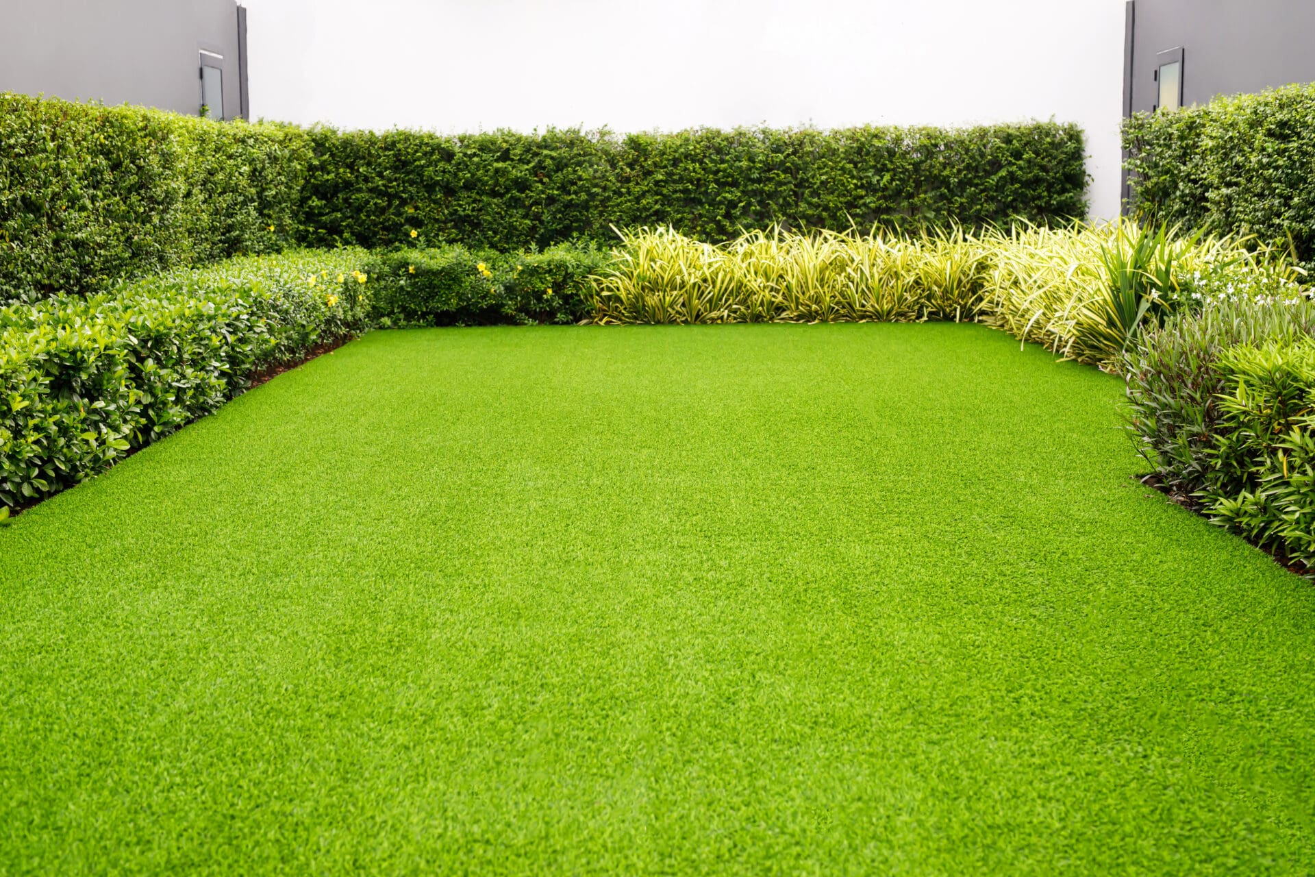 Premium Artificial Grass Wellington-Wide | TigerTurf