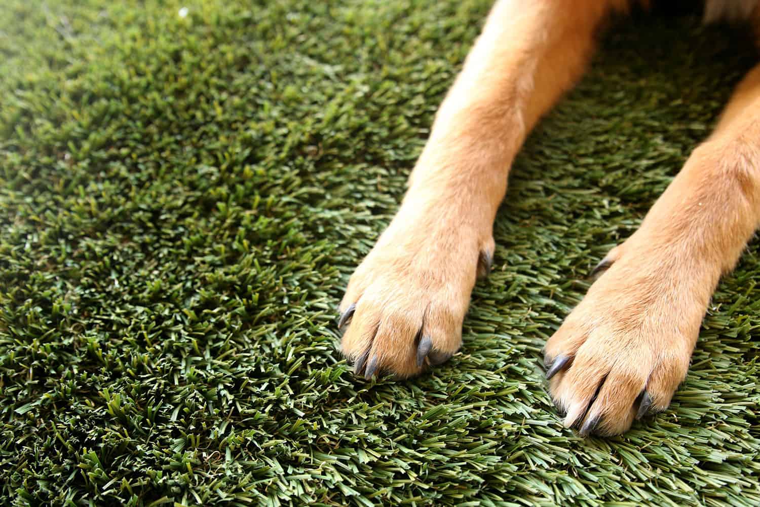 TigerTurf | Artificial Grass Landscape Solutions | Made in the USA