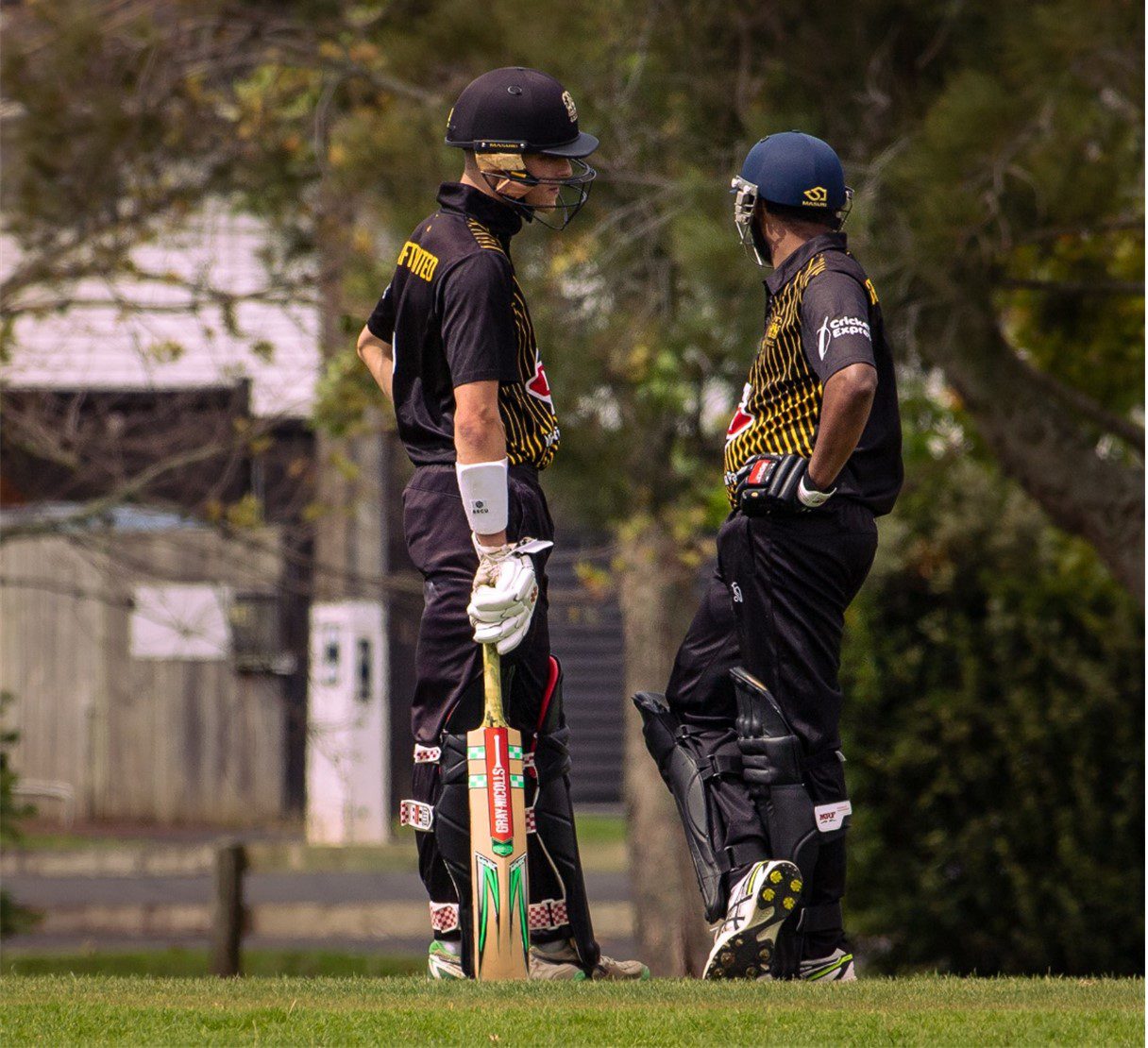 Cricket: Maintaining Your Artificial Cricket Turf | TigerTurf